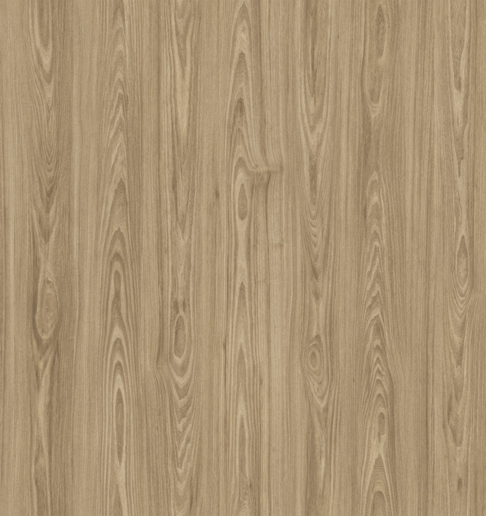 MACHADO'S ELM - Lamigraf