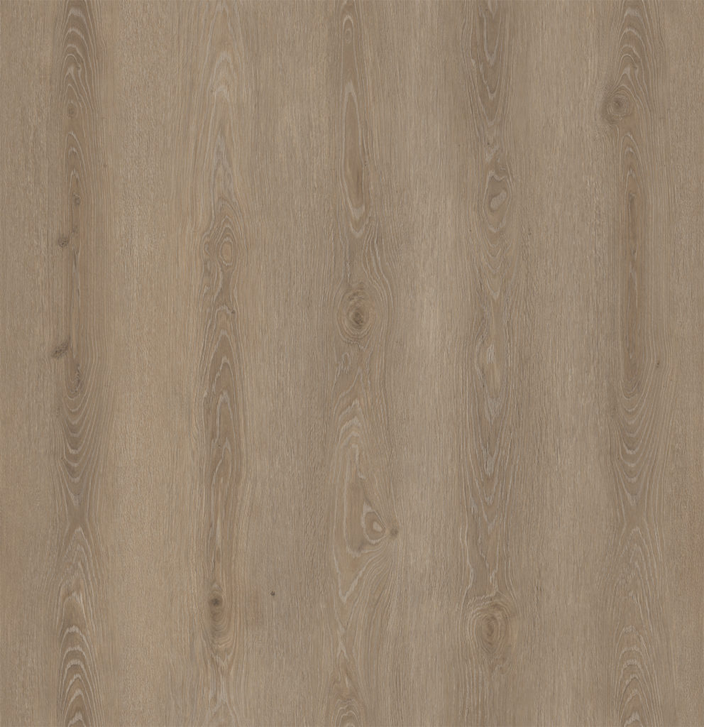 ELISABETH'S OAK - Lamigraf